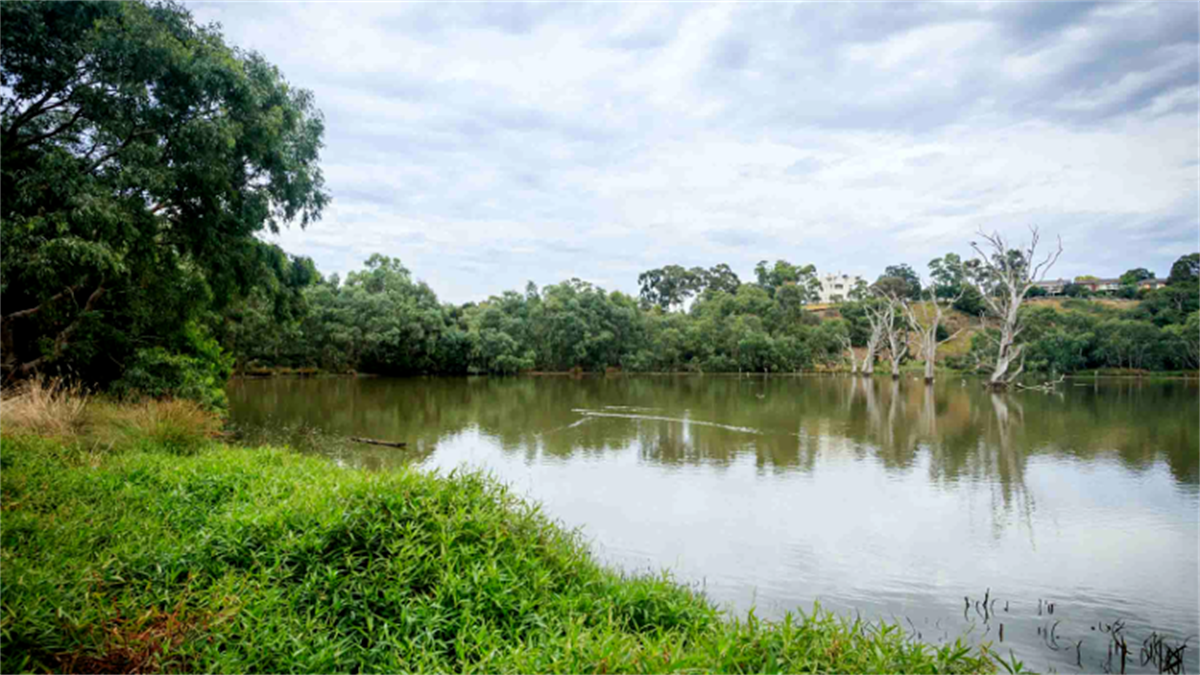 Banyule Flats Reserve | Banyule Council