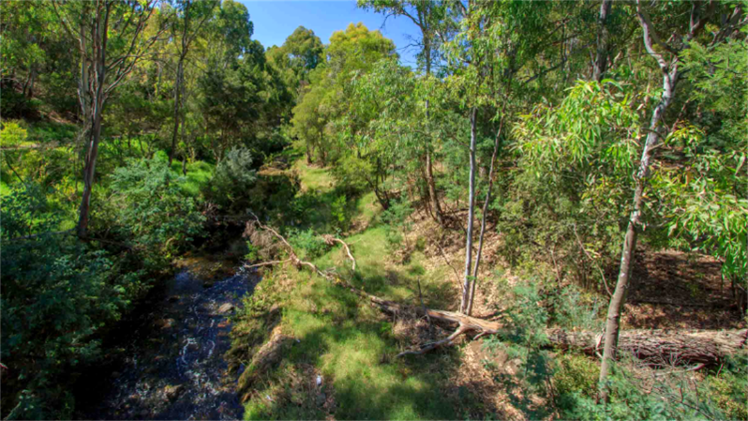 Darebin Creek Reserve | Banyule Council